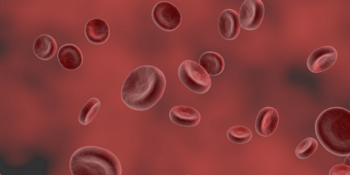 Investigating New Anti-Blood Clotting Treatments | Cardiology