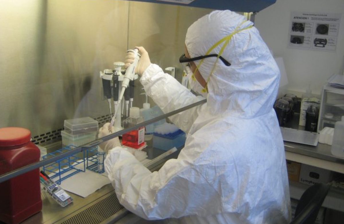 Using Stem Cells to Treat Chronic Pain | Cell And Molecular Biology
