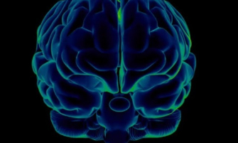 Decoding The Brain: Can Your Thoughts Be Read? | Neuroscience