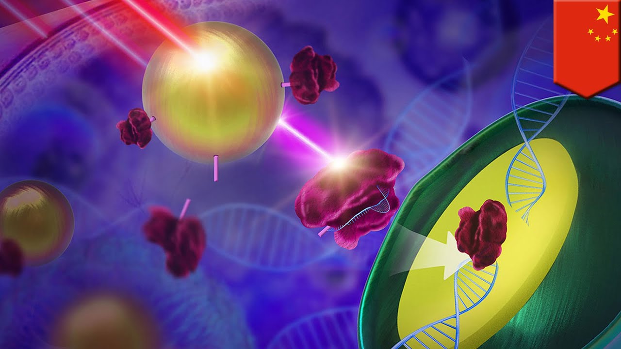 Controlling Gene Expression with Light | Genetics And Genomics