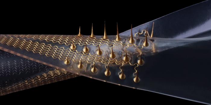 Scientists Develop Customizable Flexible Microelectrode Arrays Clinical And Molecular Dx