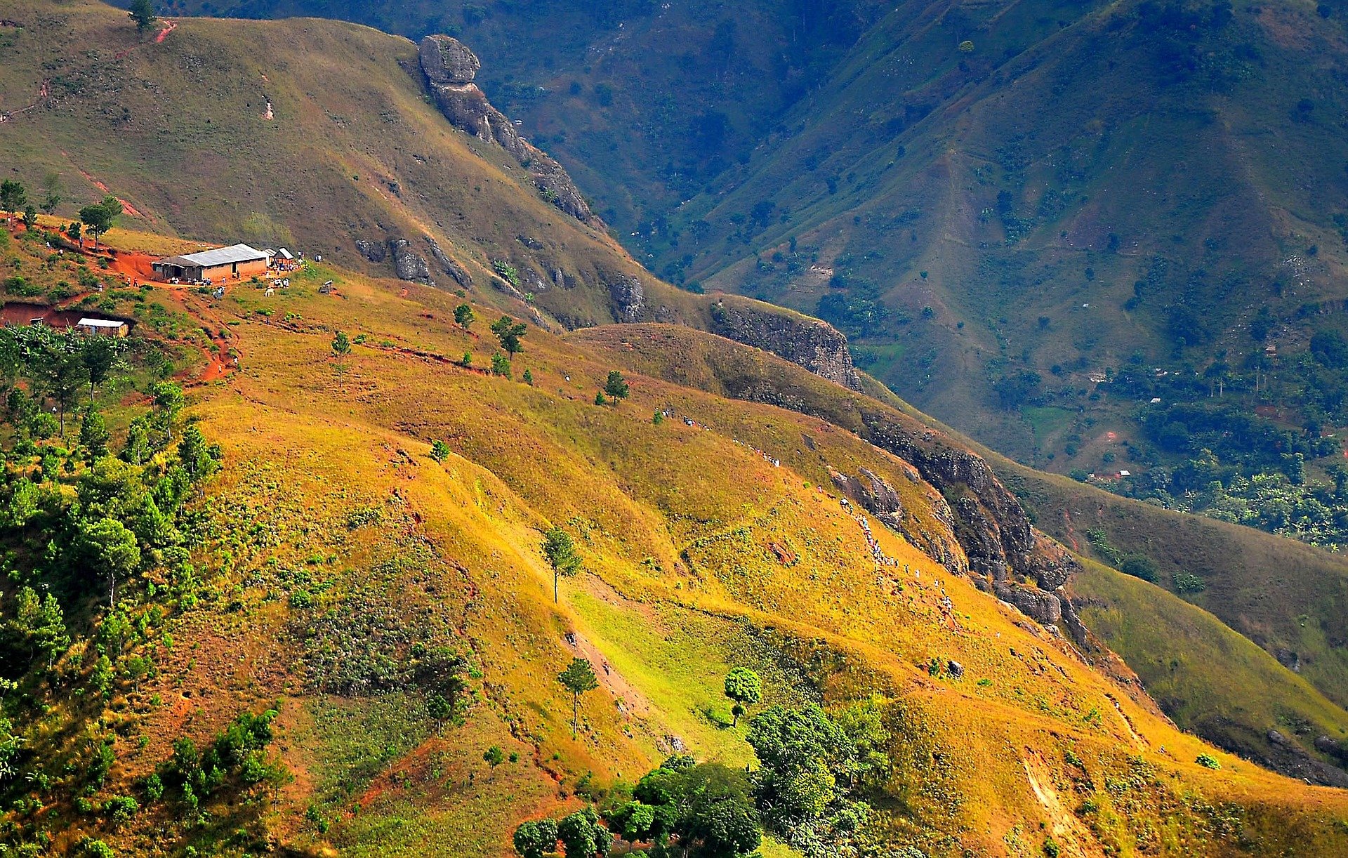 Haiti has lost over 99% of its forests | Earth And The Environment