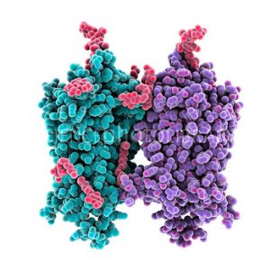 Alternative Light-Sensitive Proteins Expand Brai | Neuroscience