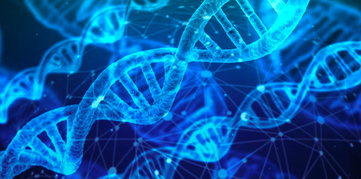 A Brief History of Human Gene Editing | Genetics And Genomics