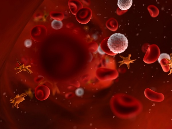Key Protein Lets Plavix Conquer Platelets | Cardiology