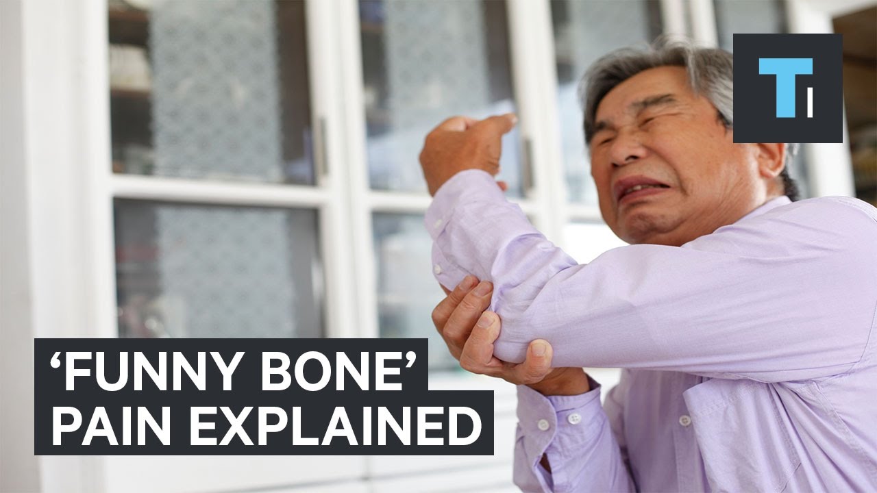 What Does it Mean to Bump Your Funny Bone? | Videos