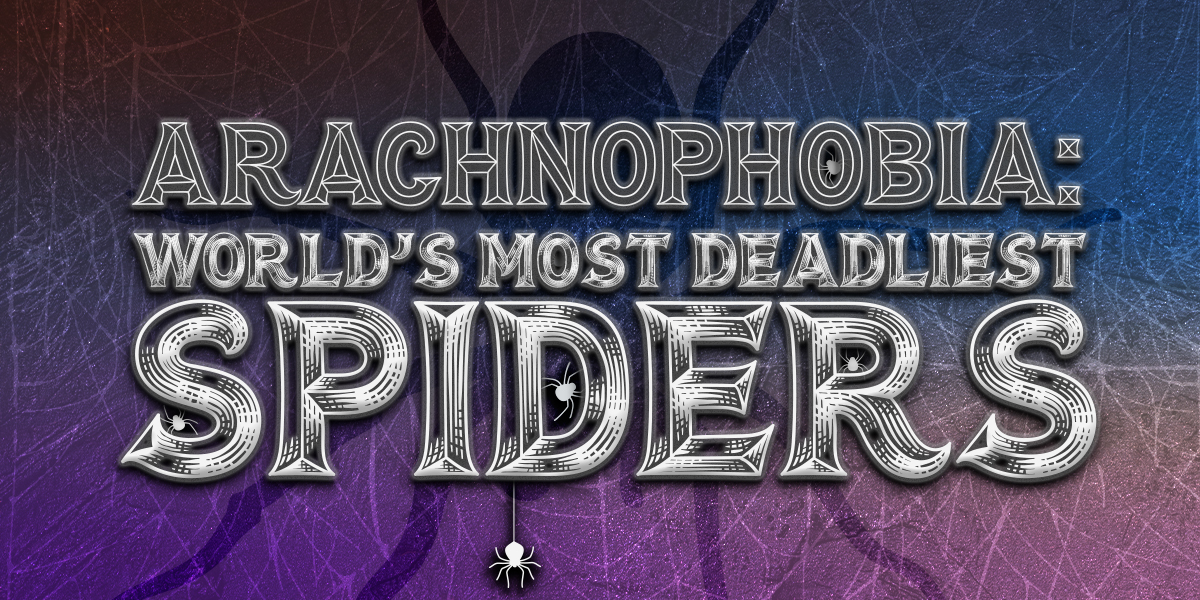Arachnophobia: World's Deadliest Spiders | Infographics