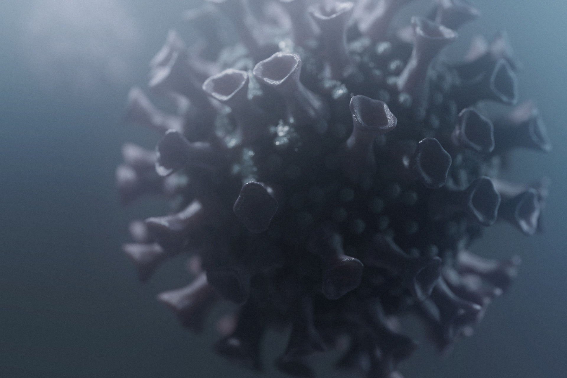 Sugar May Hold the Key to Overcome Drug-Resistant Pathogens | Immunology