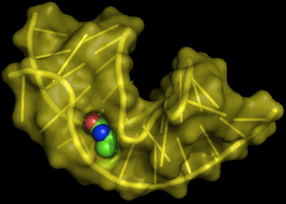 New DNA "Aptamer" Modifications for Disease Detection and Dr | Genetics ...