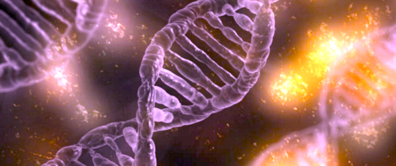 The Human Genome Sequence is Finally, Truly Complete | Genetics And ...