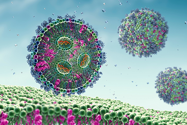 Analytical Ultracentrifugation (AUC) for Characterization of Lipid ...