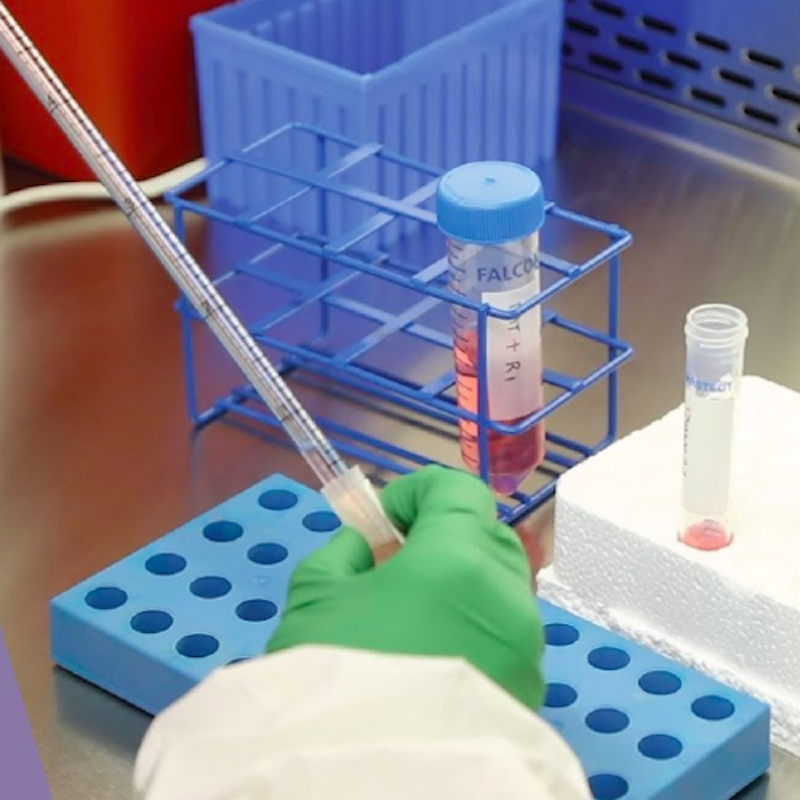 Tips on Bringing Stem Cells out of Deep Freeze | Videos