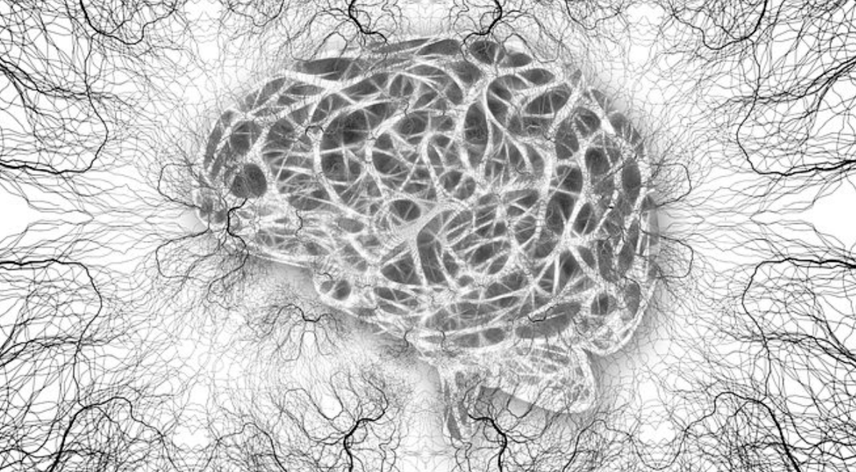 Bugs on the Brain - Gut Microbes Affect Neurodegeneration | Neuroscience