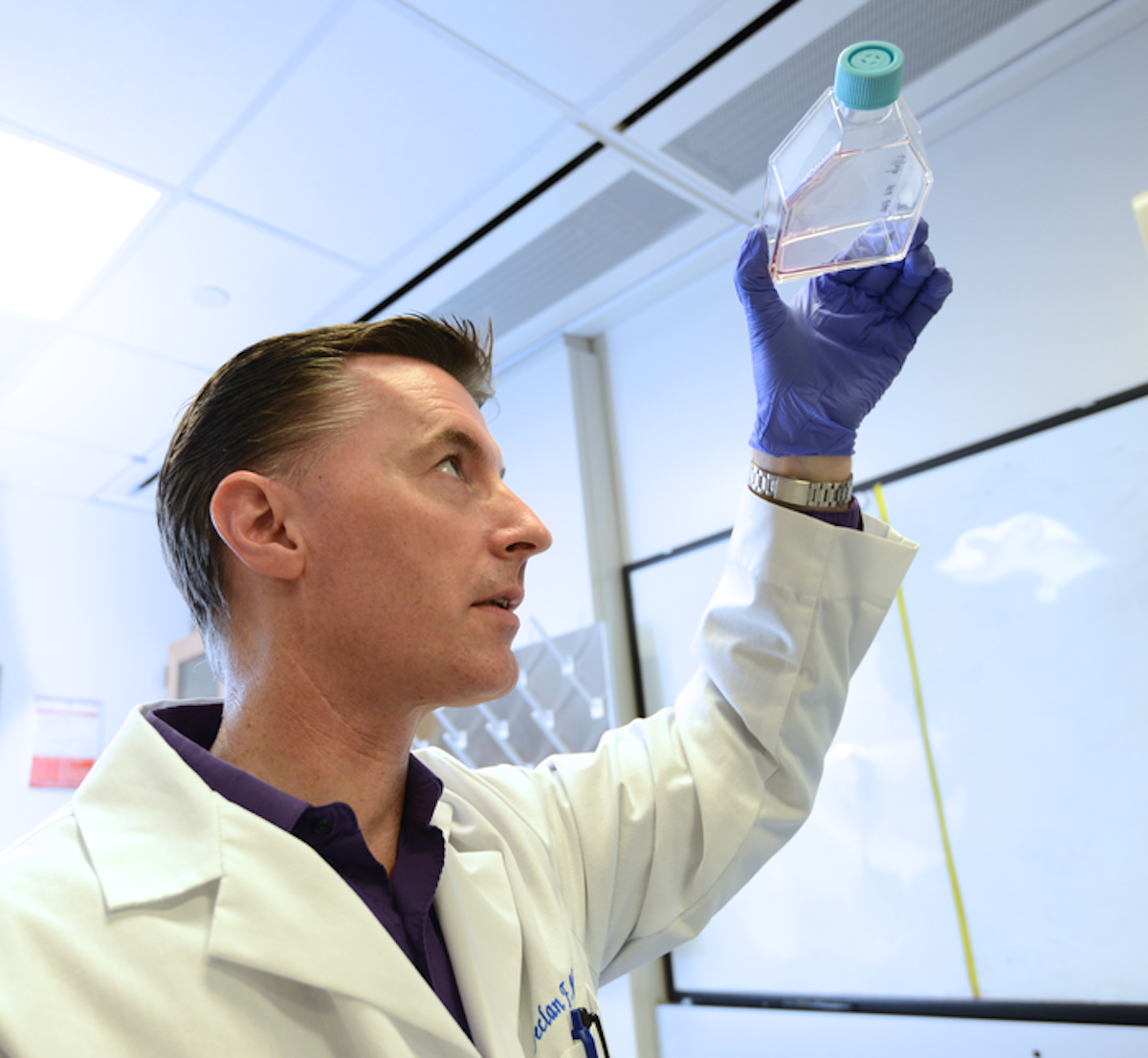 How a Genetic Mutation Could Lead to Leaky Gut | Genetics And Genomics