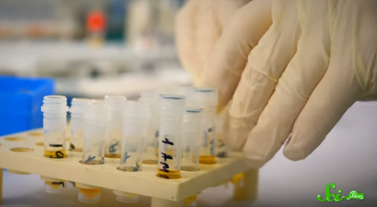 How Genetics Can Inform Our Understanding of ADHD | Genetics And Genomics