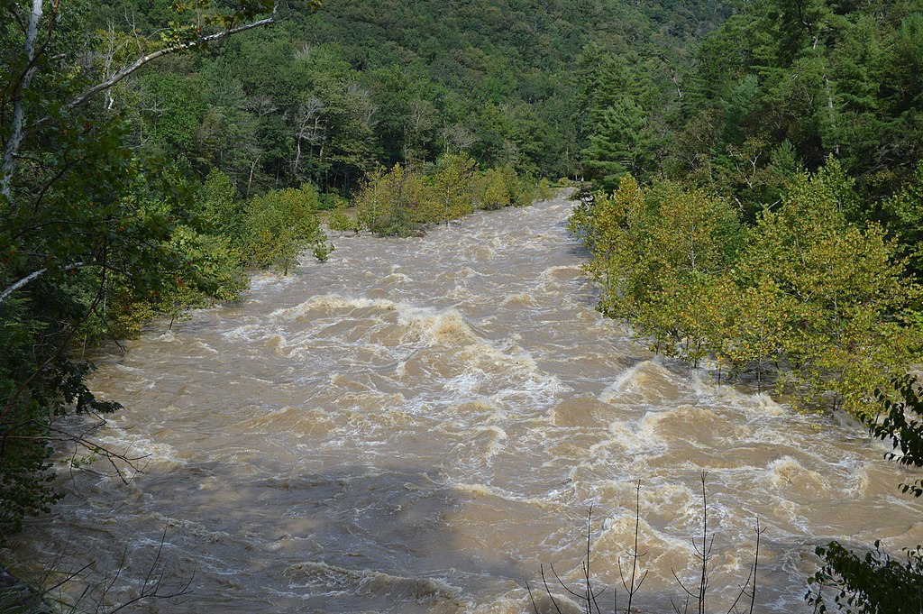 Nature-Based Management Of Rivers Has Potential To Combat The Water ...