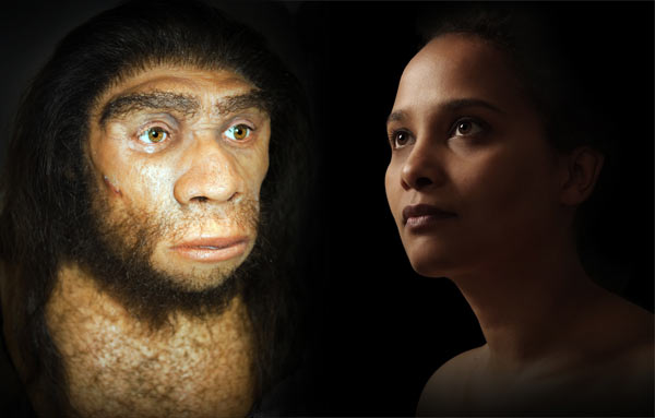 The Genetic Gift From Neanderthals to Modern Humans | Immunology