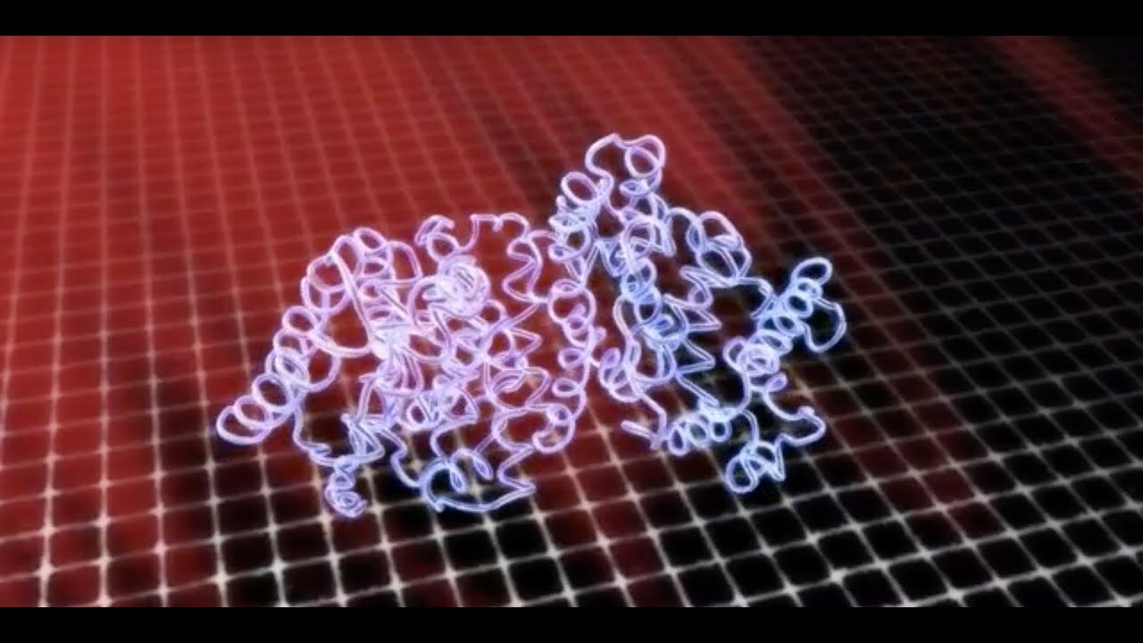 Learning More About the Significant Roles of Tiny Proteins | Cell And ...