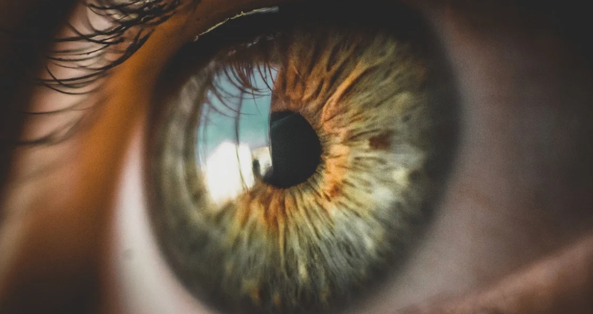 50 New Eye Color Genes Are Identified | Genetics And Genomics