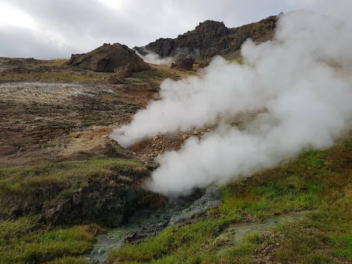 In a Warming World, Dormant Soil Microbes are Reactivated | Microbiology