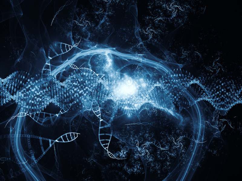 Nailing Down the 3D Structure of "Deoxyribozyme" | Genetics And Genomics