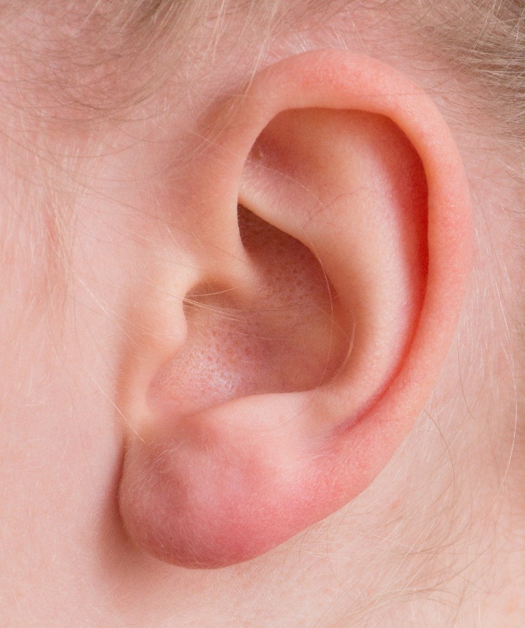 Novel Approach Developed for Ear Replacement Surgery | Health And Medicine