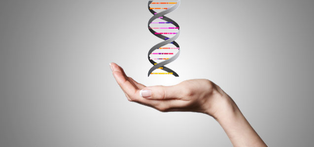 Identifying New Drug Targets in Therapy-Resistant Cancers | Drug ...