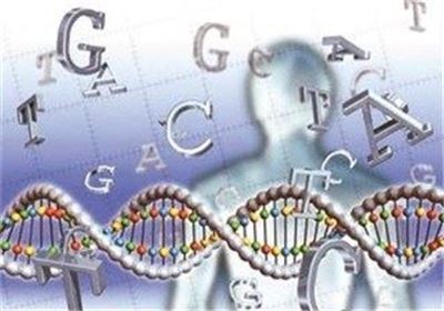 The Largest-Ever Genetic Study Discovers 14 New Developmenta | Genetics ...