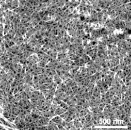 Modeling of Cellulose Nanocrystals Suggests Amaz | Chemistry And Physics