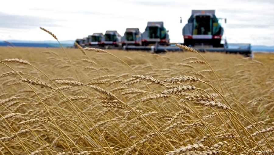 Russia's agricultural revolution | Earth And The Environment