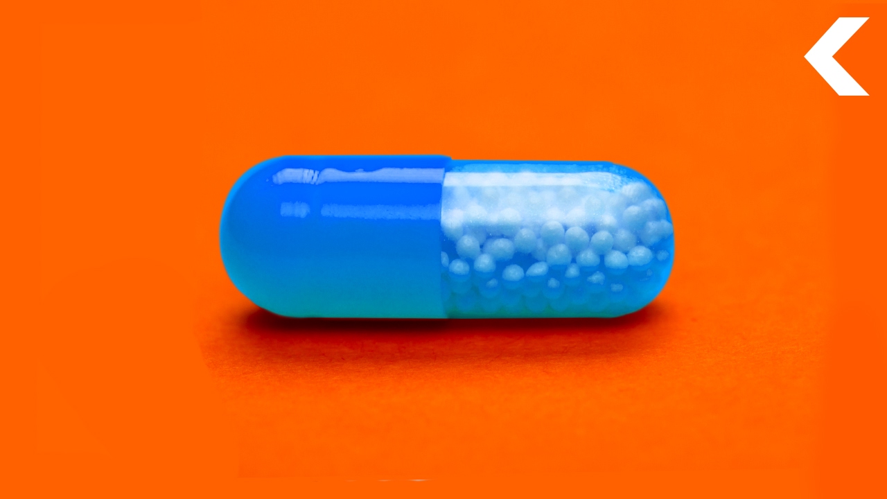 How do Opioids Work in the Brain? | Videos