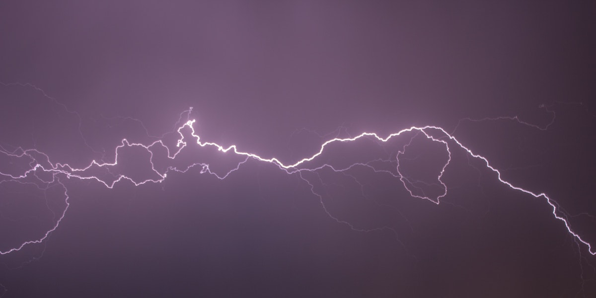 New Electroceutical Device Targets Splenic Nerves For Therapeutic ...