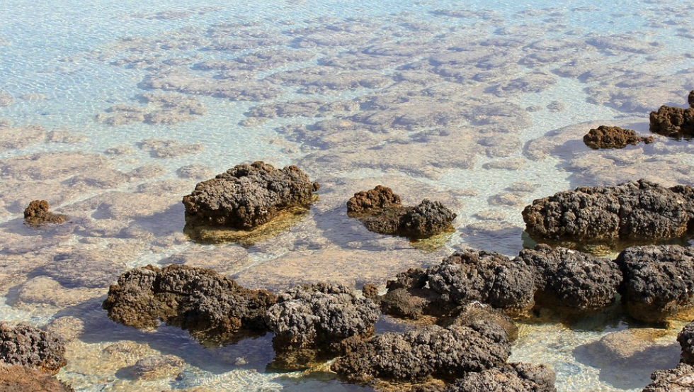 Strange Structures in a Freezing Lake Reveal the Life of Ancient ...