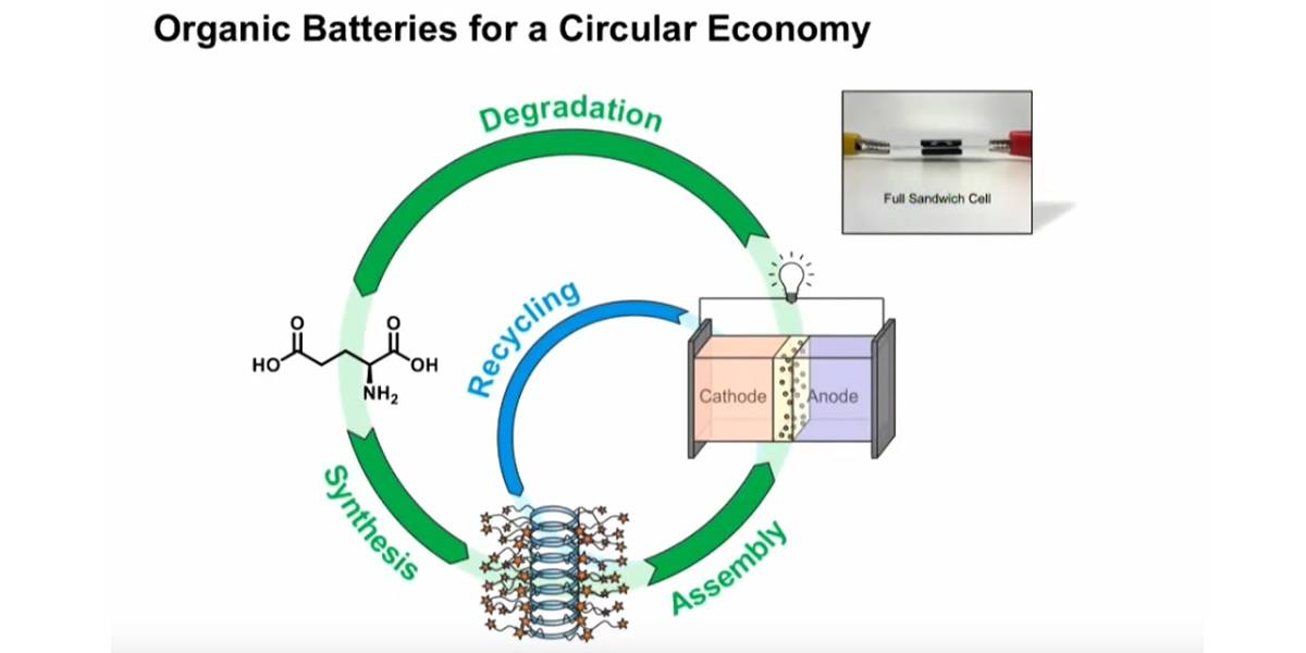 Protein Batteries - Talk About "Power Bars" | Chemistry And Physics