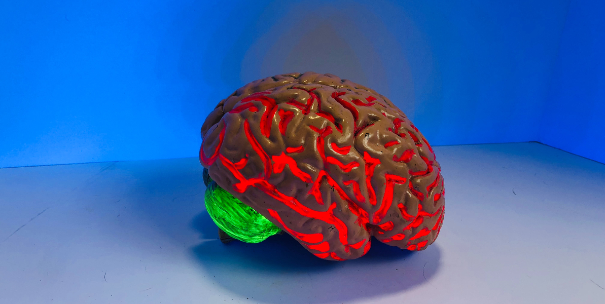 What happens in the Brain in Cannabis Cravers? | Neuroscience