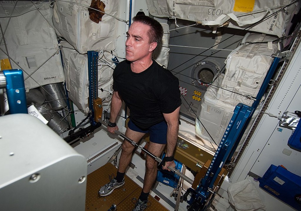 Jump-Based Training May Combat Cartilage Breakdown in Space | Space