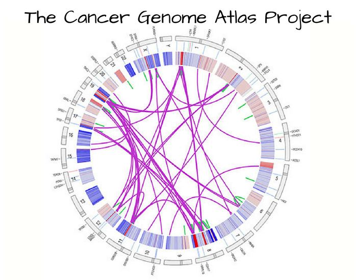 PanCancer Atlas of 33 Cancer Types for Genomic Profile Index Completed ...
