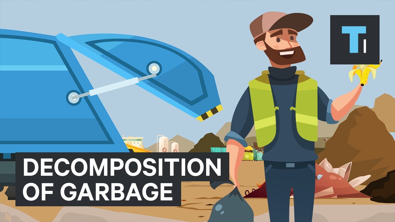 Trash Decomposition Takes Longer Than You Think | Videos