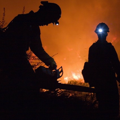 Smoke Gets In Your Brain | Neuroscience