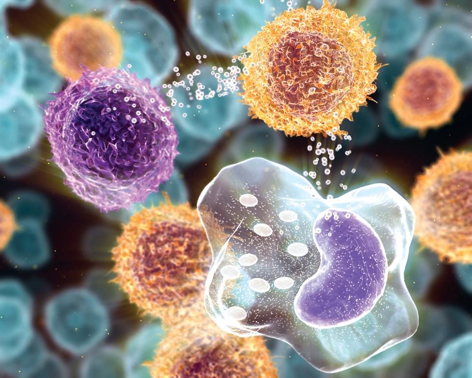 New Anti-inflammatory Drugs Also Treat Depression | Immunology