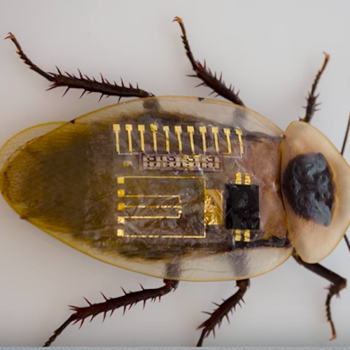 Artificial Nerves May Transform Prosthetics | Videos