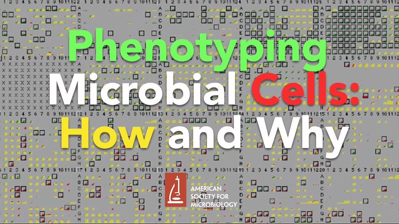 The Why & How of Microbial Cell Phenomics | Videos