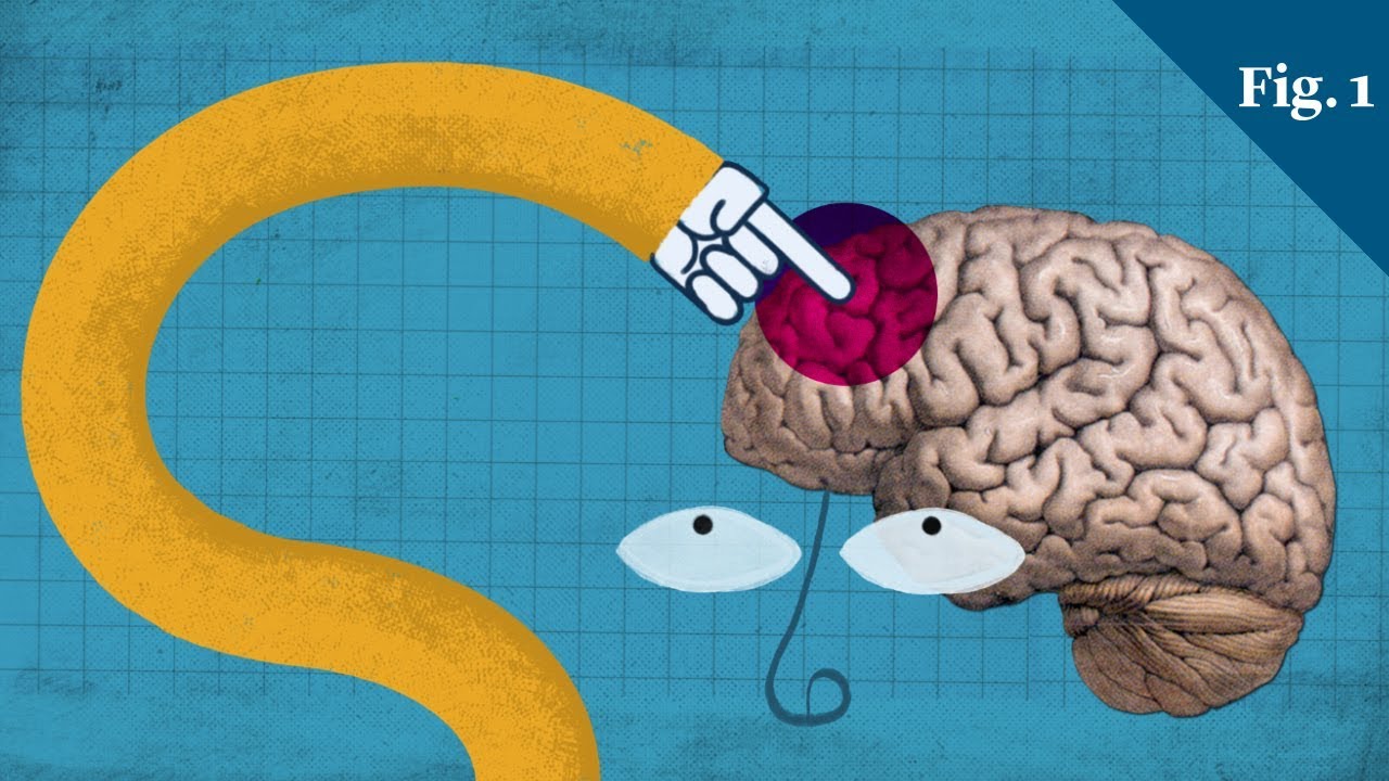 The Teen Brain: It Gets Better | Videos