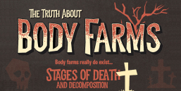 Forensics & Forensic Science | Infographics