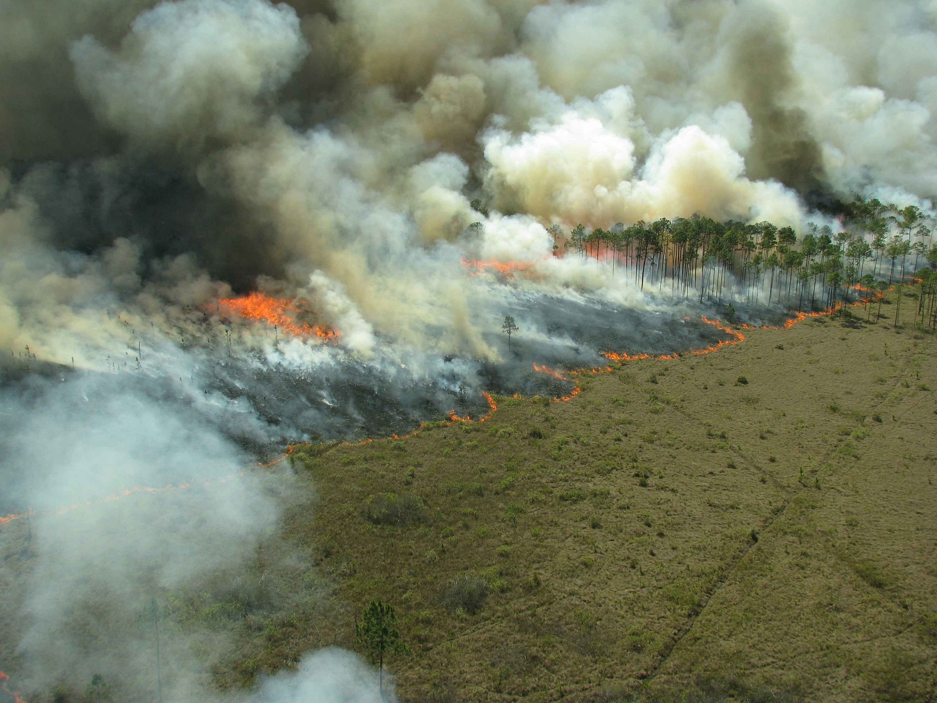 Fire as Medicine: How Indigenous fire management methods shaped our ...