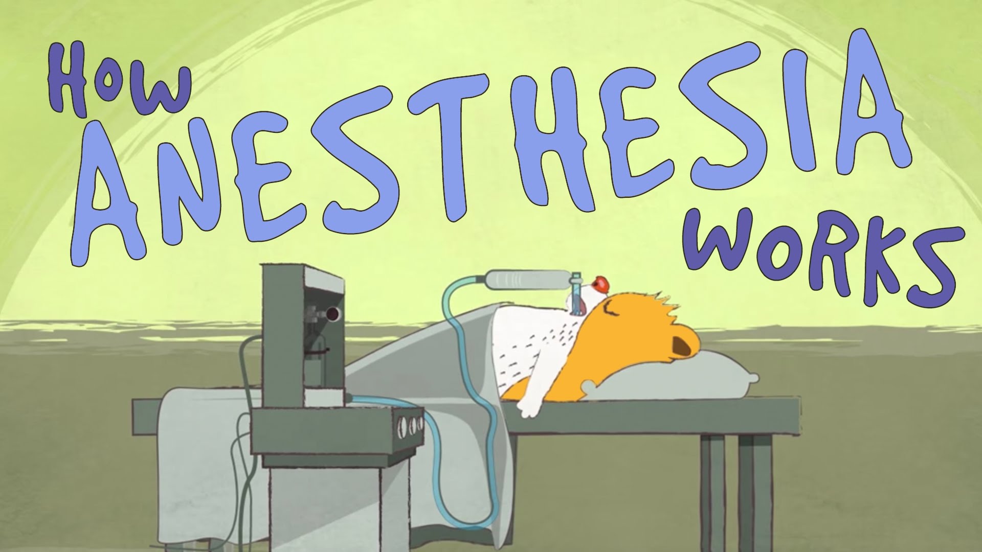 How Does Anesthesia End Pain? | Videos