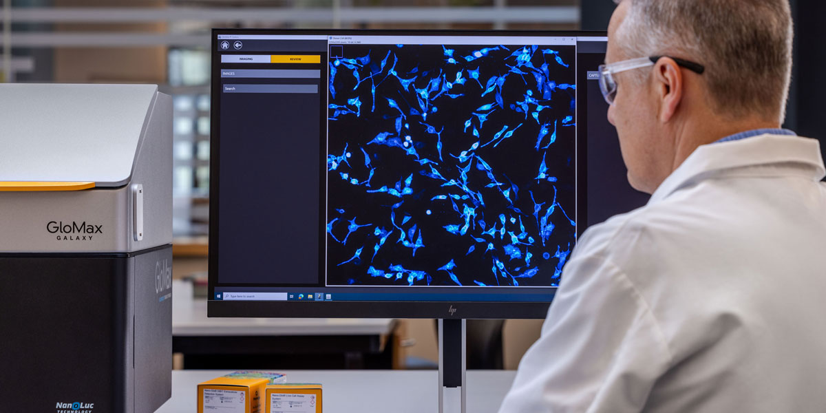 Imaging Applications with the GloMax® Galaxy Imager | Technology