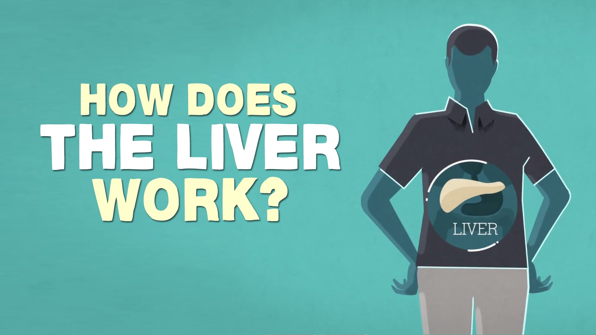 What Exactly Does the Liver Do? | Videos