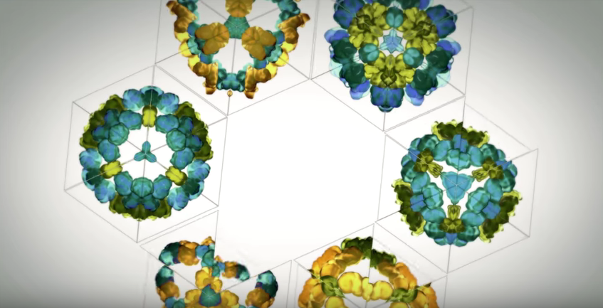 Researchers Can Design and Assemble Unnatural Proteins | Cell And ...