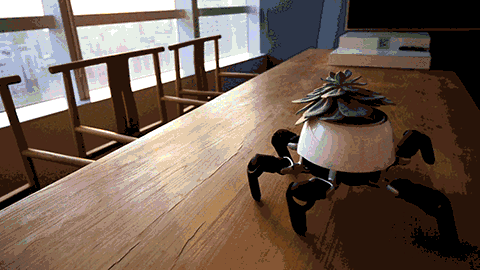 The HEXA Robot: a Succuluent's Best Friend | Technology